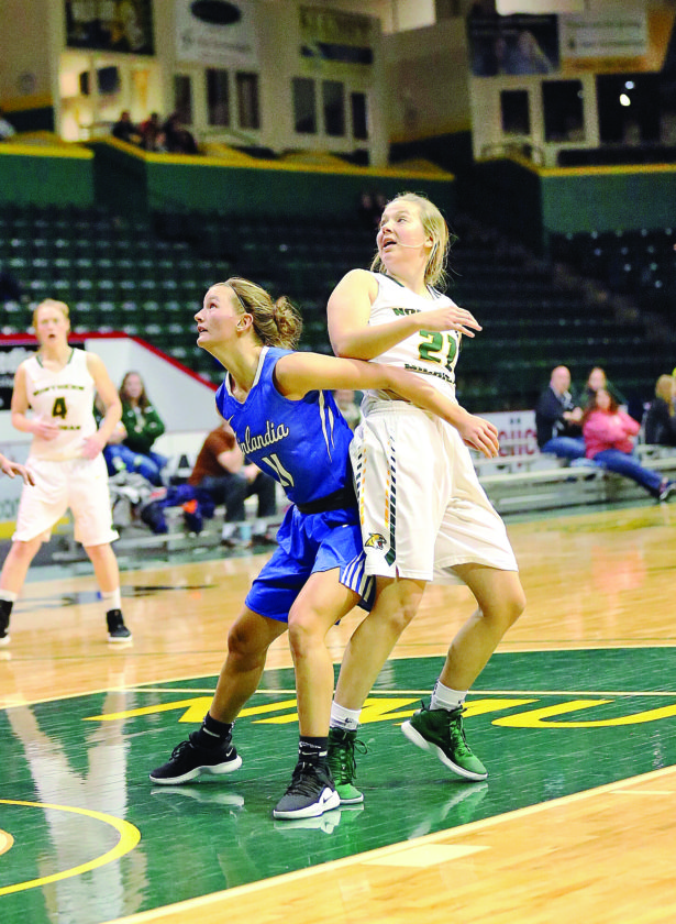 Wildcats tame the Lions | News, Sports, Jobs - The Mining Journal